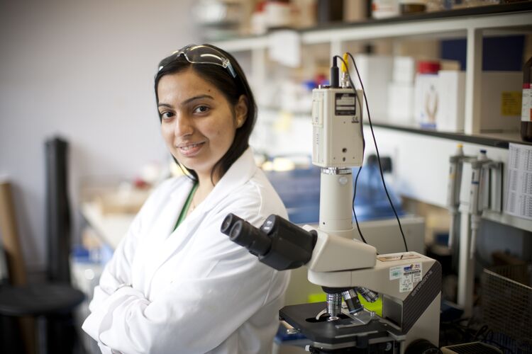 Researcher connect training programme 2023-24 - Spain and Portugal ...