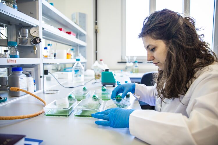 Springboard Programme for UK-Spain partnerships | British Council